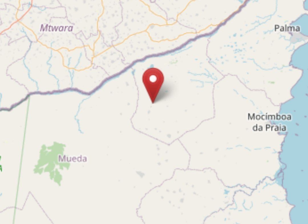 #Mozambican army in Litingina village, Nangade clash with #ISCAP – The ...