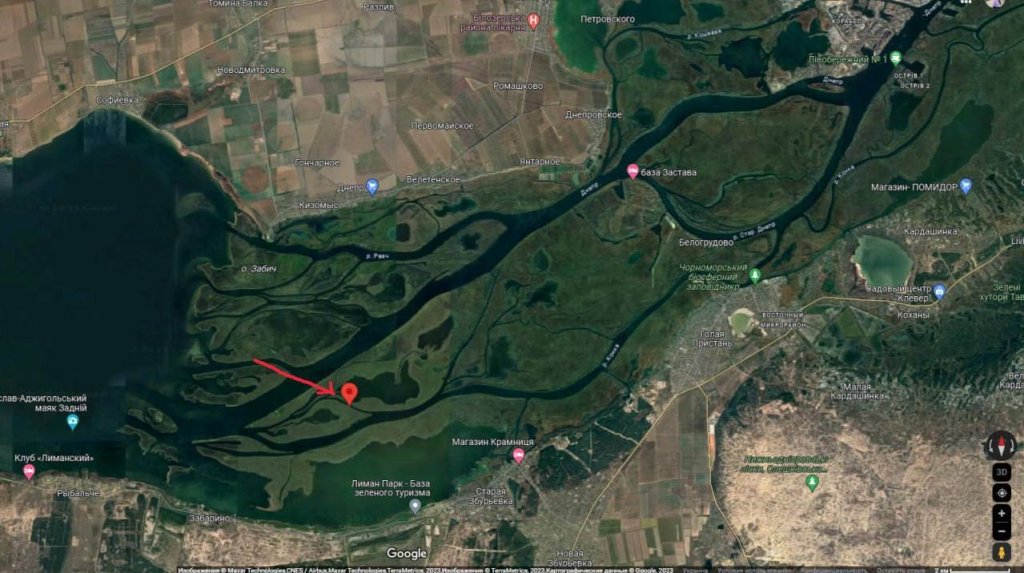 What is the well-coordinated work of the partisans and the Armed Forces ...